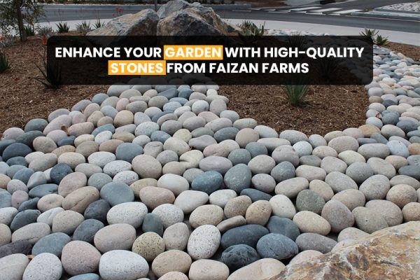 Enhance Your Garden with High-Quality Stones from Faizan Farms - Faizan ...